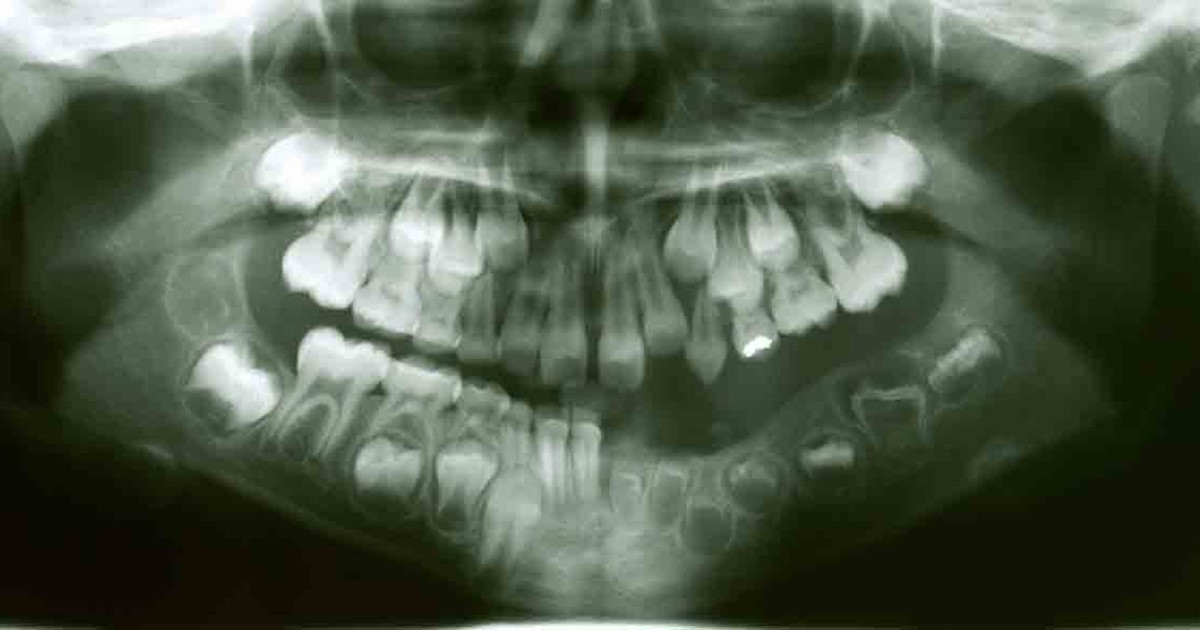 Our Plaistow Team | Plaistow Pediatric Dentistry & Orthodontics